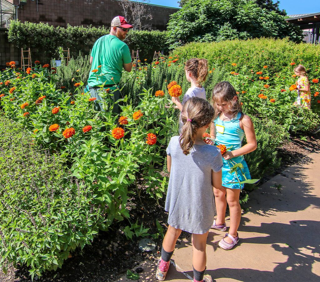 Atlanta Botanical Garden | Garden Camps