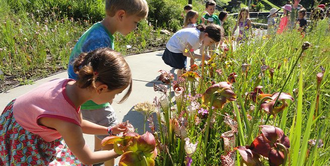 Atlanta Botanical Garden | Garden Camps
